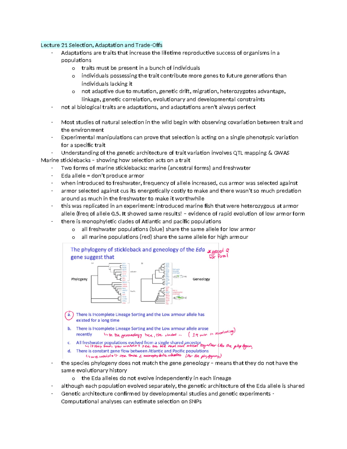 Bio206 final notes - Lecture 21 Selection, Adaptation and Trade-Offs ...