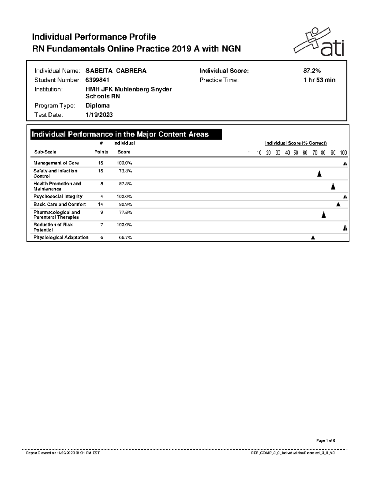 Report (29) - NOTES - Individual Performance Profile RN Fundamentals ...