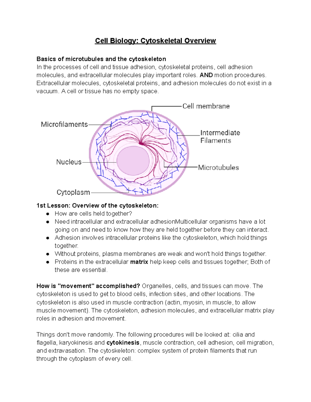 Cell Biology Cytoskeletal Overview - Cell Biology: Cytoskeletal ...