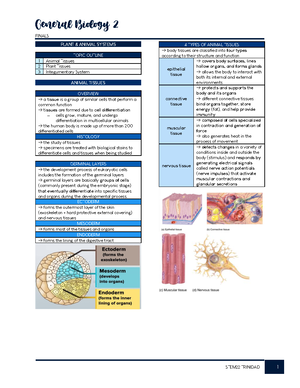 Statics of Rigid Bodies Terms - Terminologies: 1) MECHANICS-is a branch ...