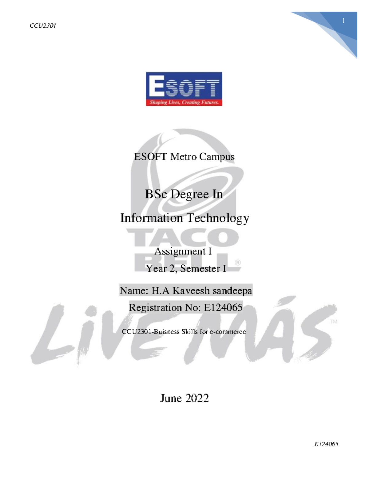 E124065 - CCU ESOFT Metro Campus BSc Degree In Information Technology ...