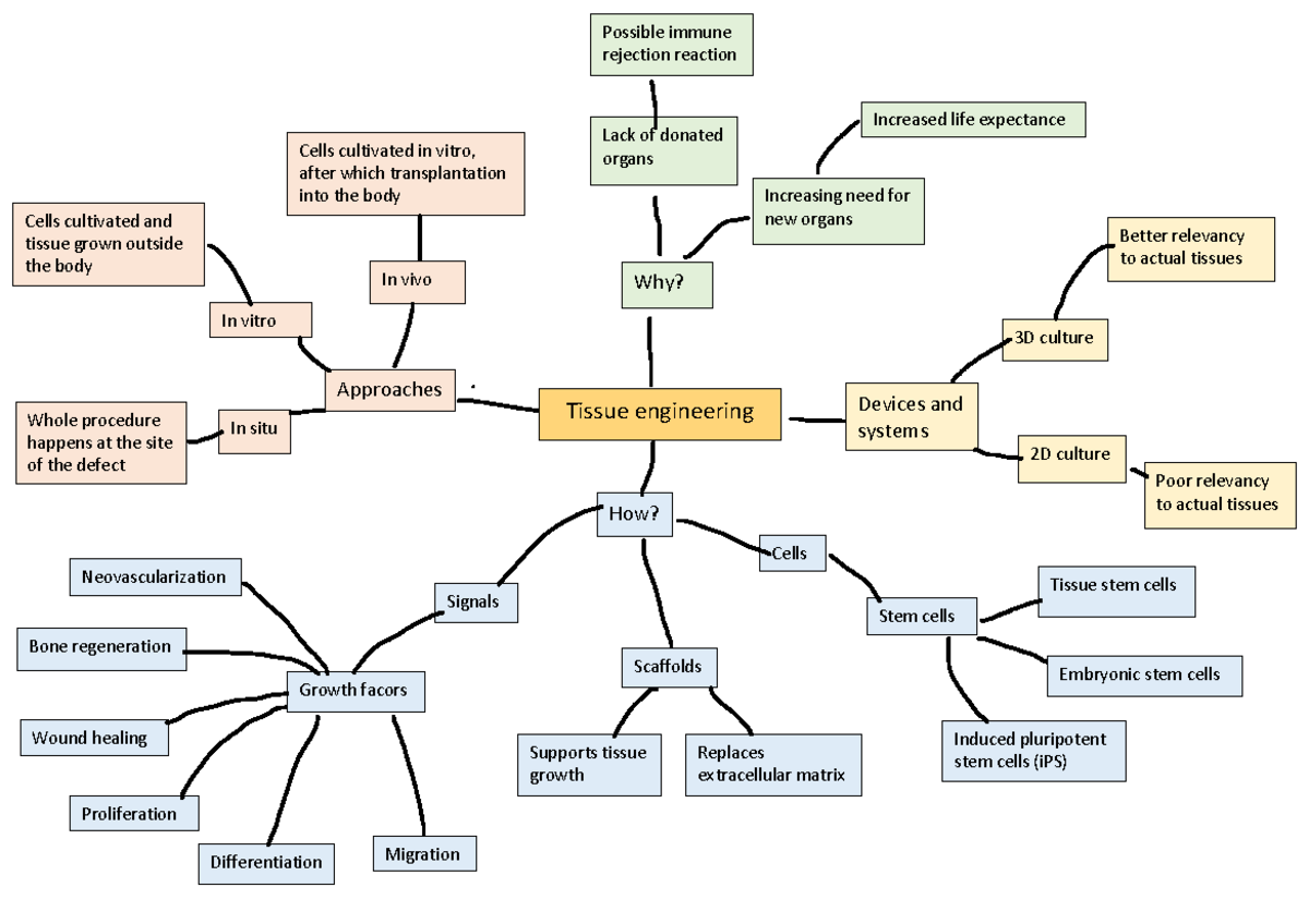 Tissue Engineering Basics mindmaps - Tissue engineering Why? How ...