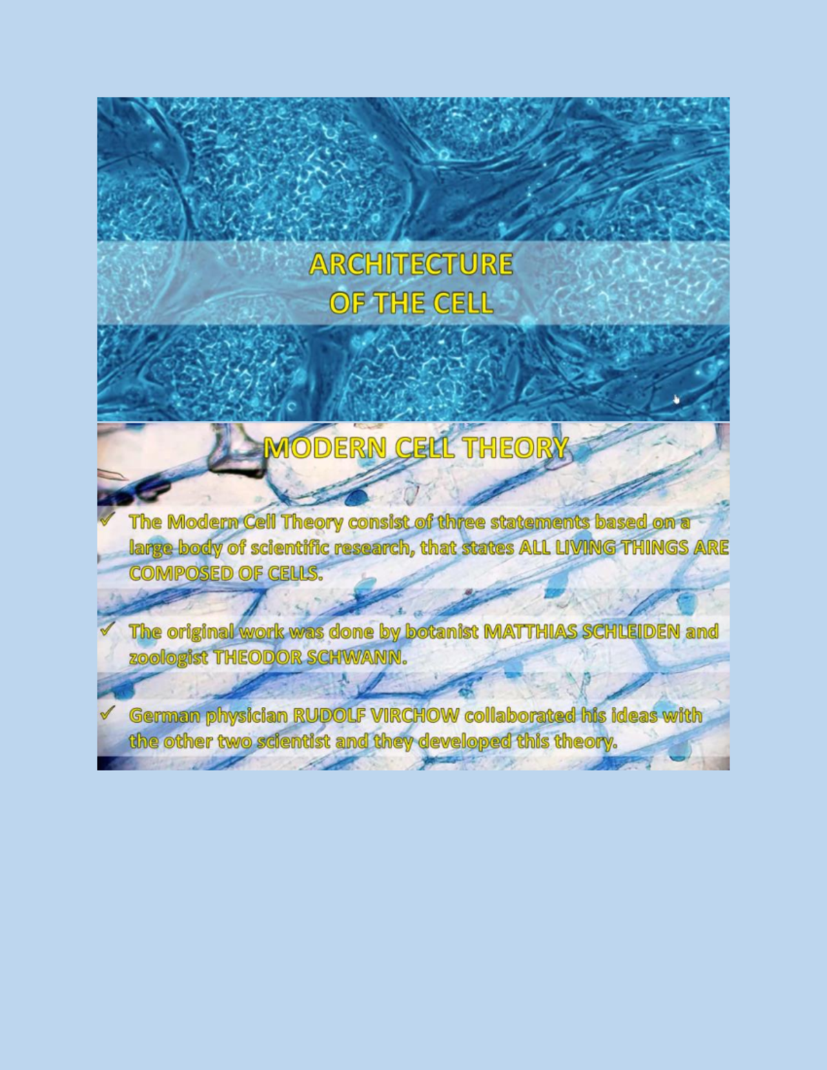 Architecture of the Cell - Earth and Life Science - Studocu