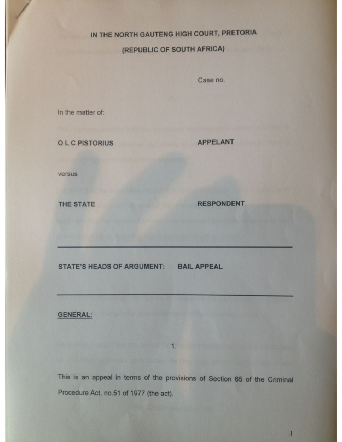 Bail Appeal - bail application template - IN THE NORTH GAUTENG HIGH ...