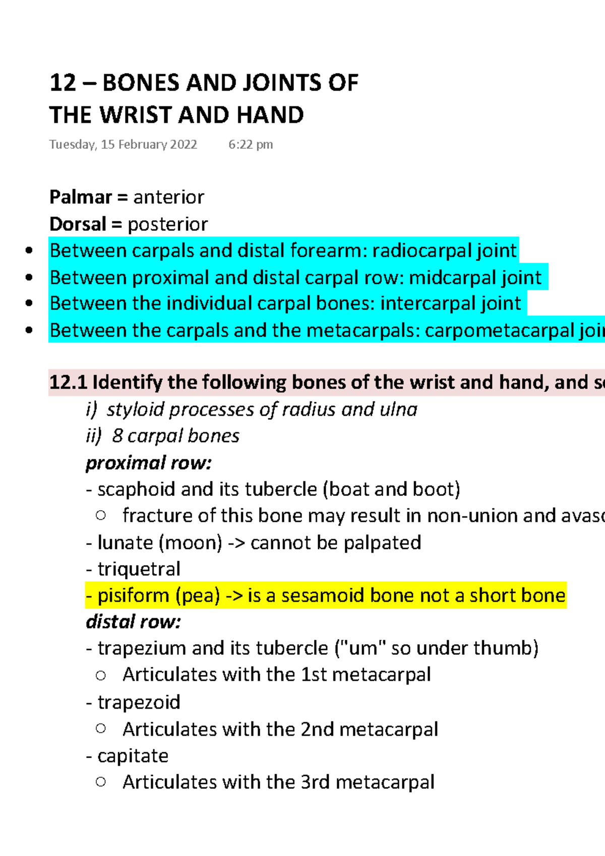 12 – Bones AND Joints OF THE Wrist AND HAND - Palmar = anterior Dorsal ...