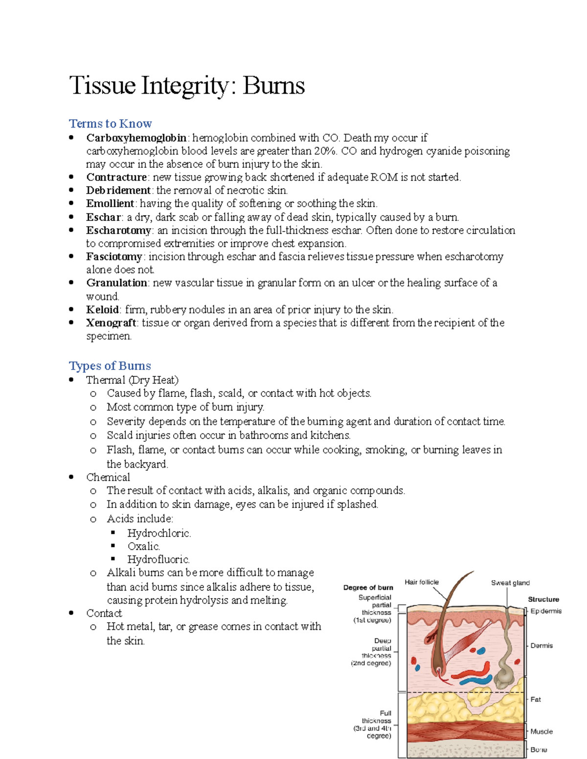 Tissue Integrity Outline - Tissue Integrity: Burns Terms to Know ...