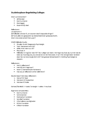 Studieloopbaan Begeleiding Werkcolleges - Klinische psychologie ...