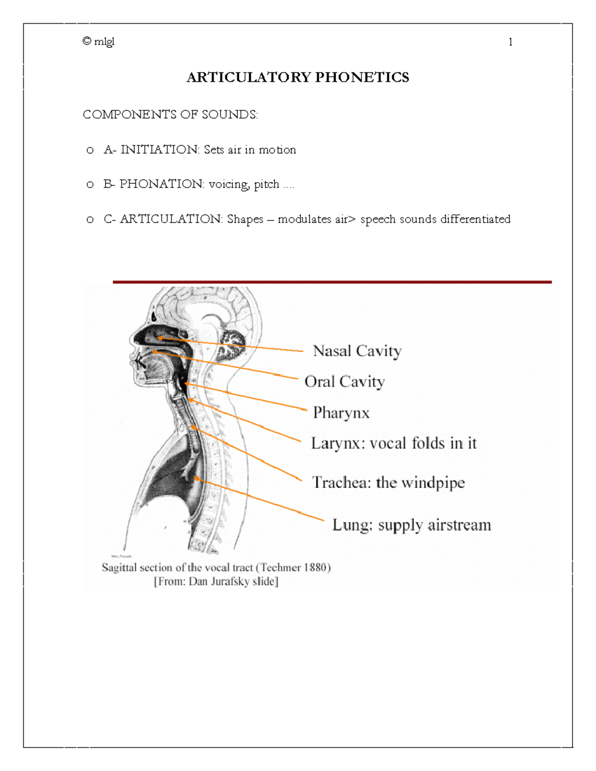 Artic Phonetics new - est - ARTICULATORY PHONETICS COMPONENTS OF SOUNDS ...