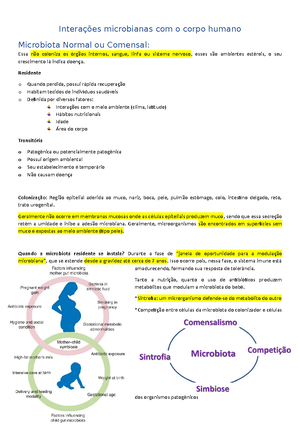 Resumo PCR - A Reação em cadeia da polimerase (PCR): etapas e ...