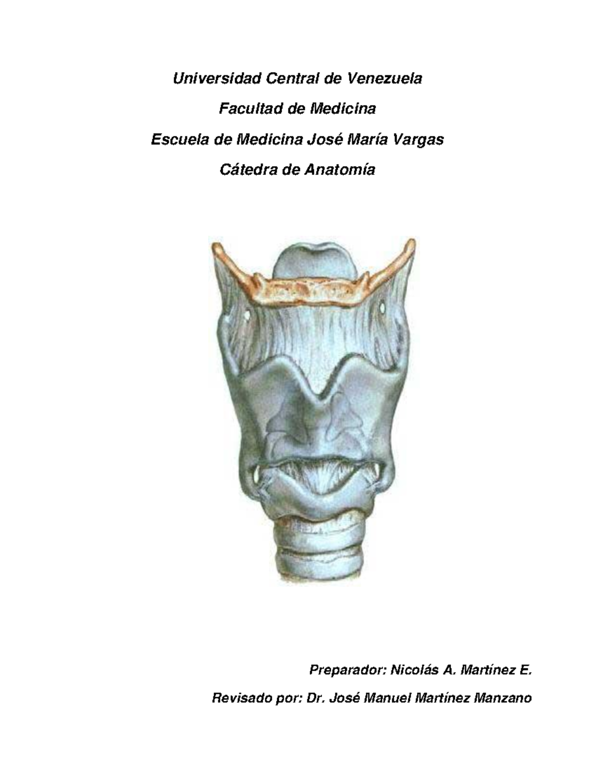 Laringe - resumen del Rouviere - Universidad Central de Venezuela ...