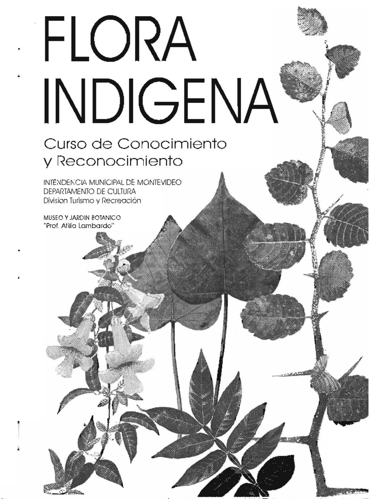 Flora Indigena - FLORA INDIGENA Curso de Conocimiento y Reconocimiento ...