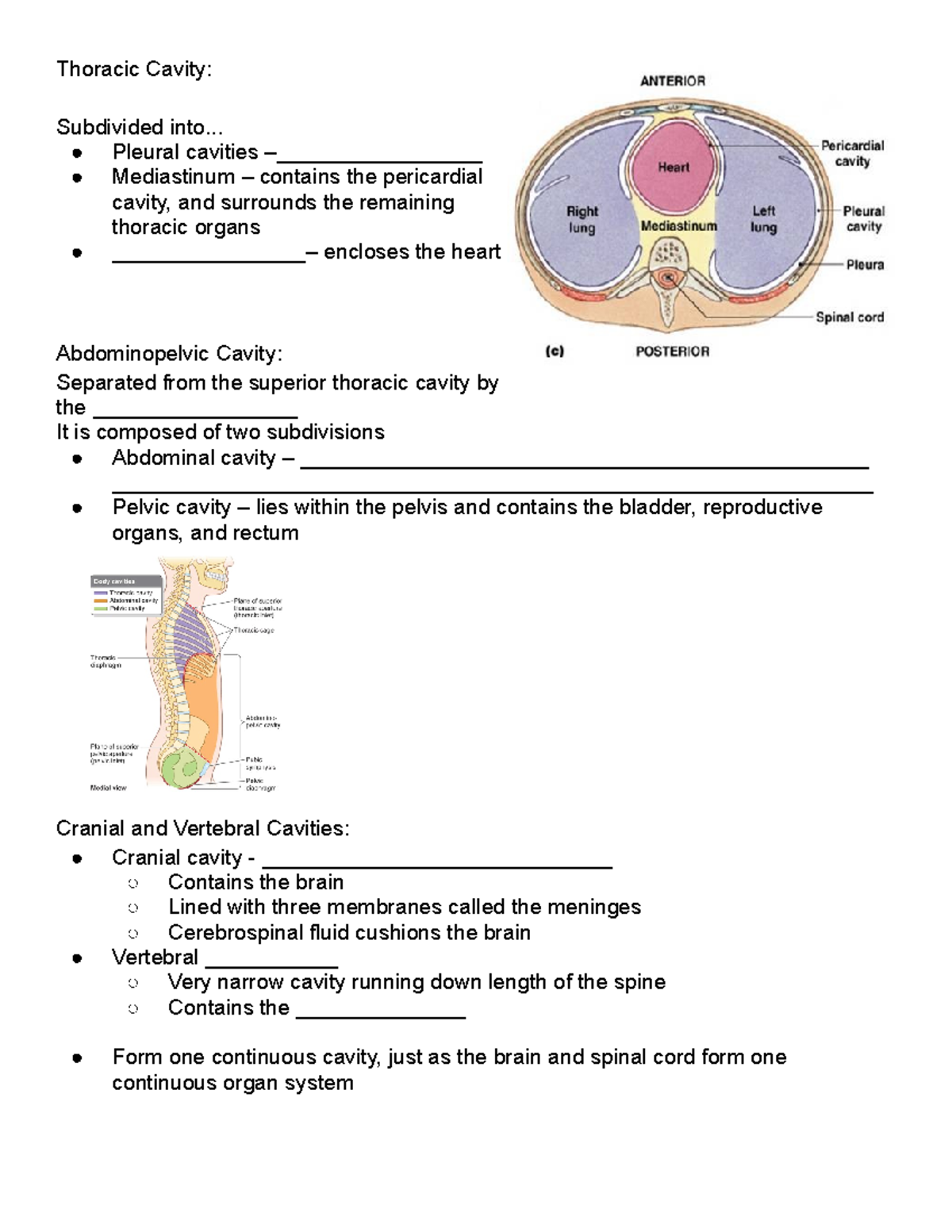 Copy of Unit 1 Terminology and Organization Guided notes (part 2 ...
