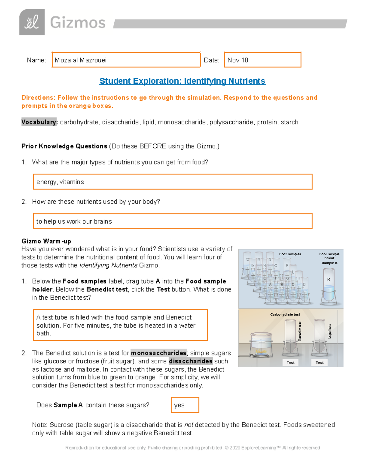 Identifying Nutrients SE - Name: Moza al Mazrouei Date: Nov 18 Student ...