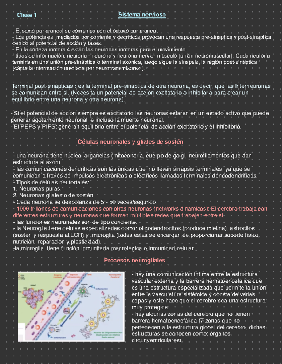 Sistema Nervioso 230731 002652 - Sistema nervioso El sexto par craneal ...