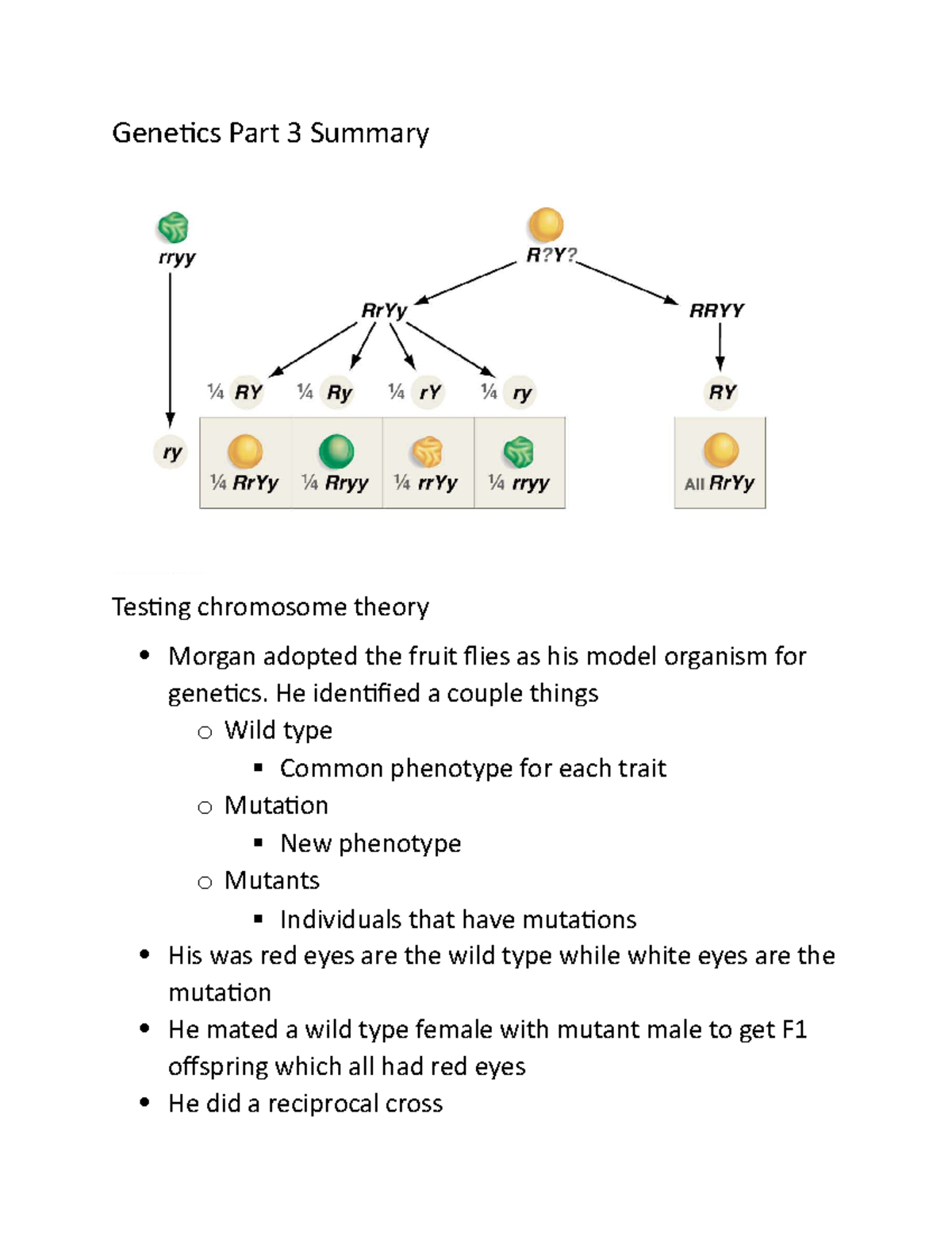 Genetics Part 3 Summary - Genetics Part 3 Summary Testing chromosome ...