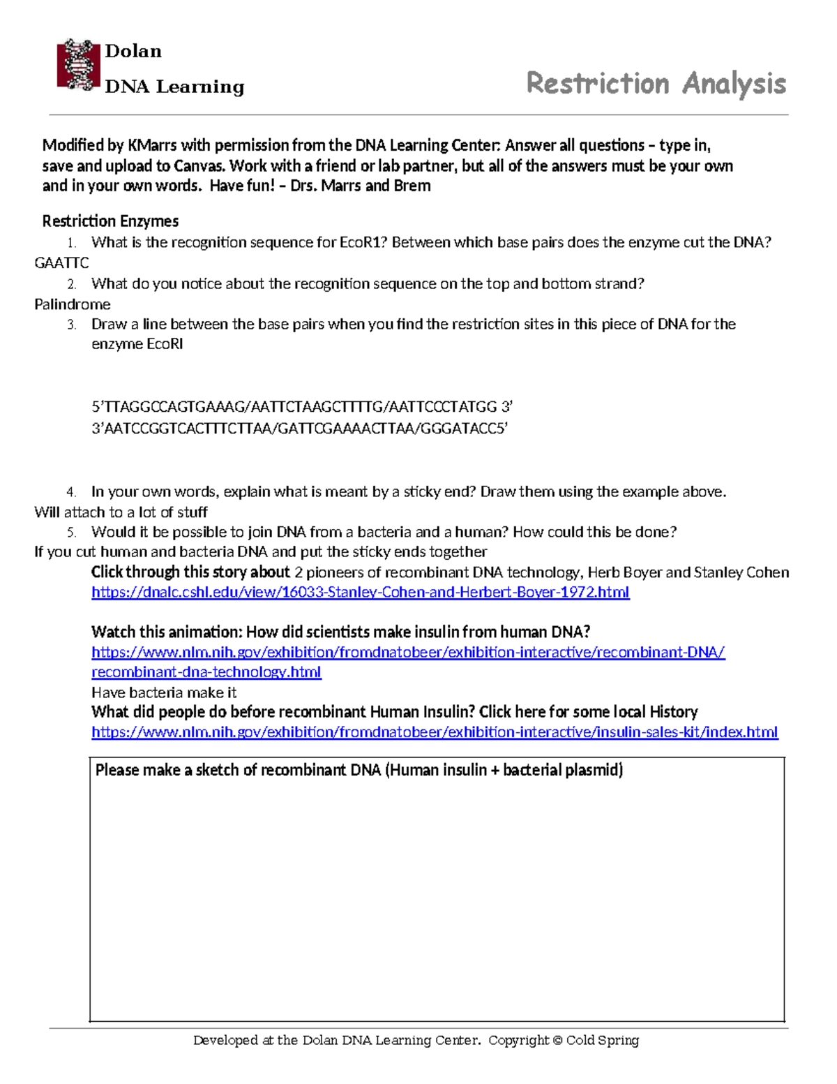 Lab 10 Restriction Enzyme and Electrophoresis Assignment KM Modified - DNA Learning Center - Studocu
