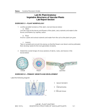 Systematics concept map - focuses on reconstructs described by major ...