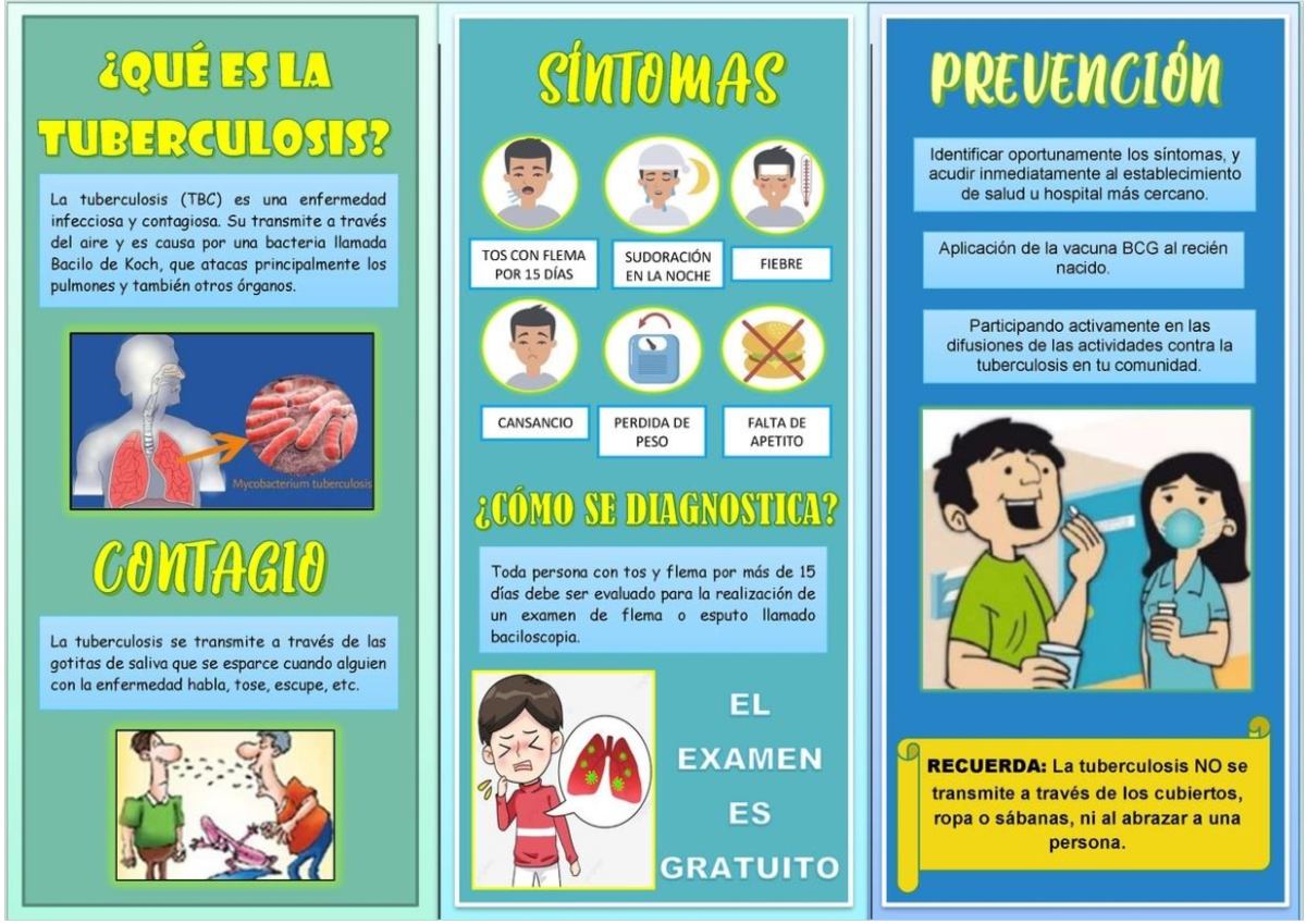 Tuberculosis pulmonar: triptico - Biología - Studocu
