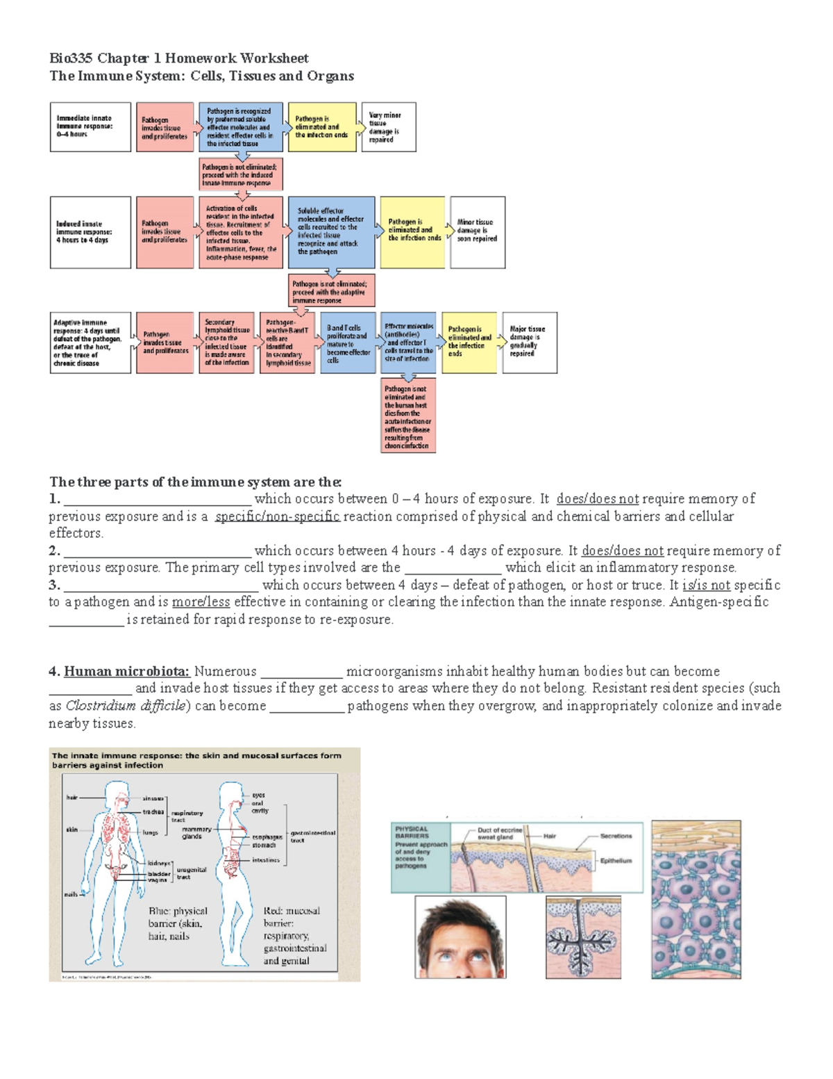 Bio335 Chapter 1 Homework Worksheet - The Immune System(1) - Bio335 ...