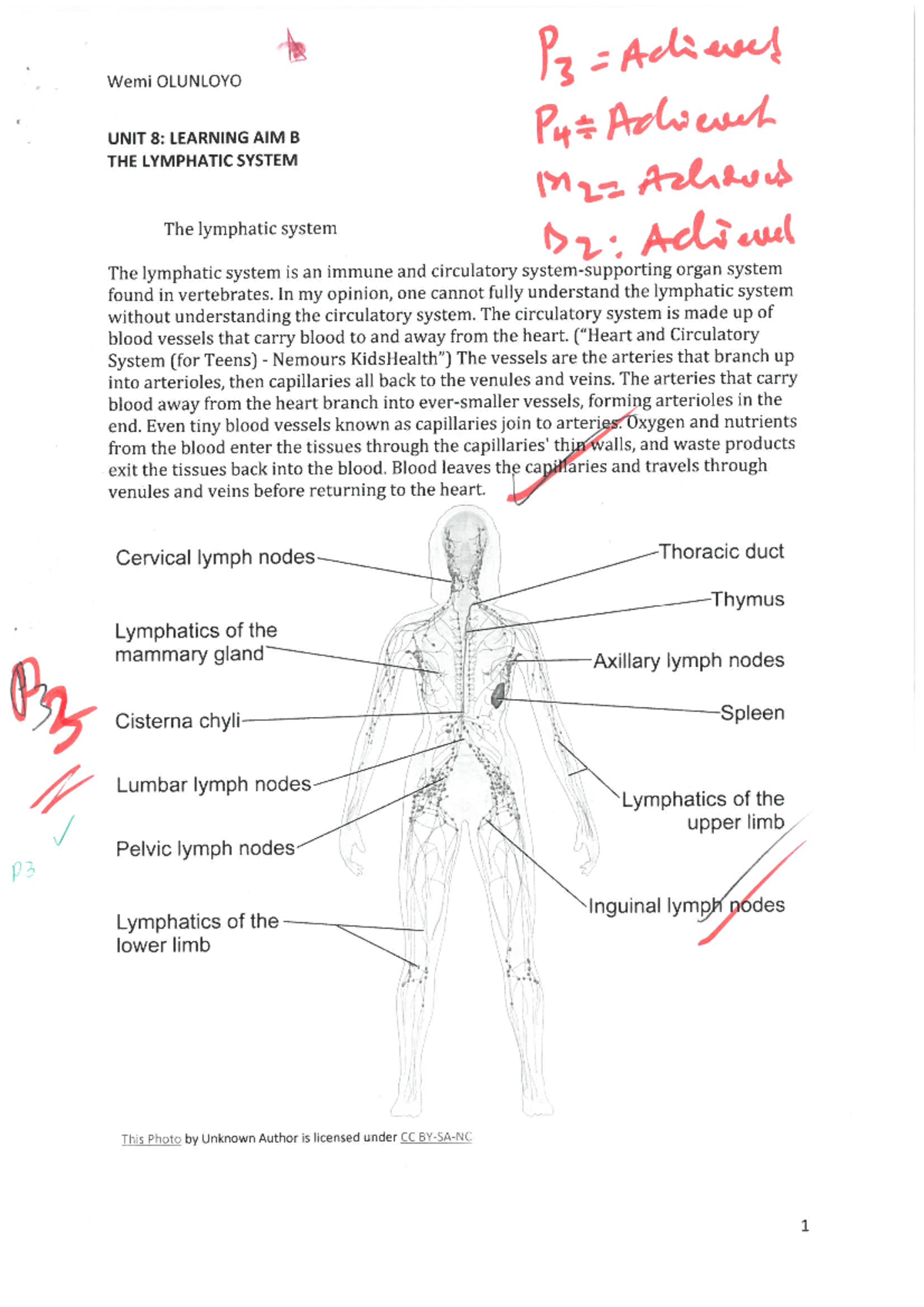 physiology of the human body system - unit 8 - Studocu