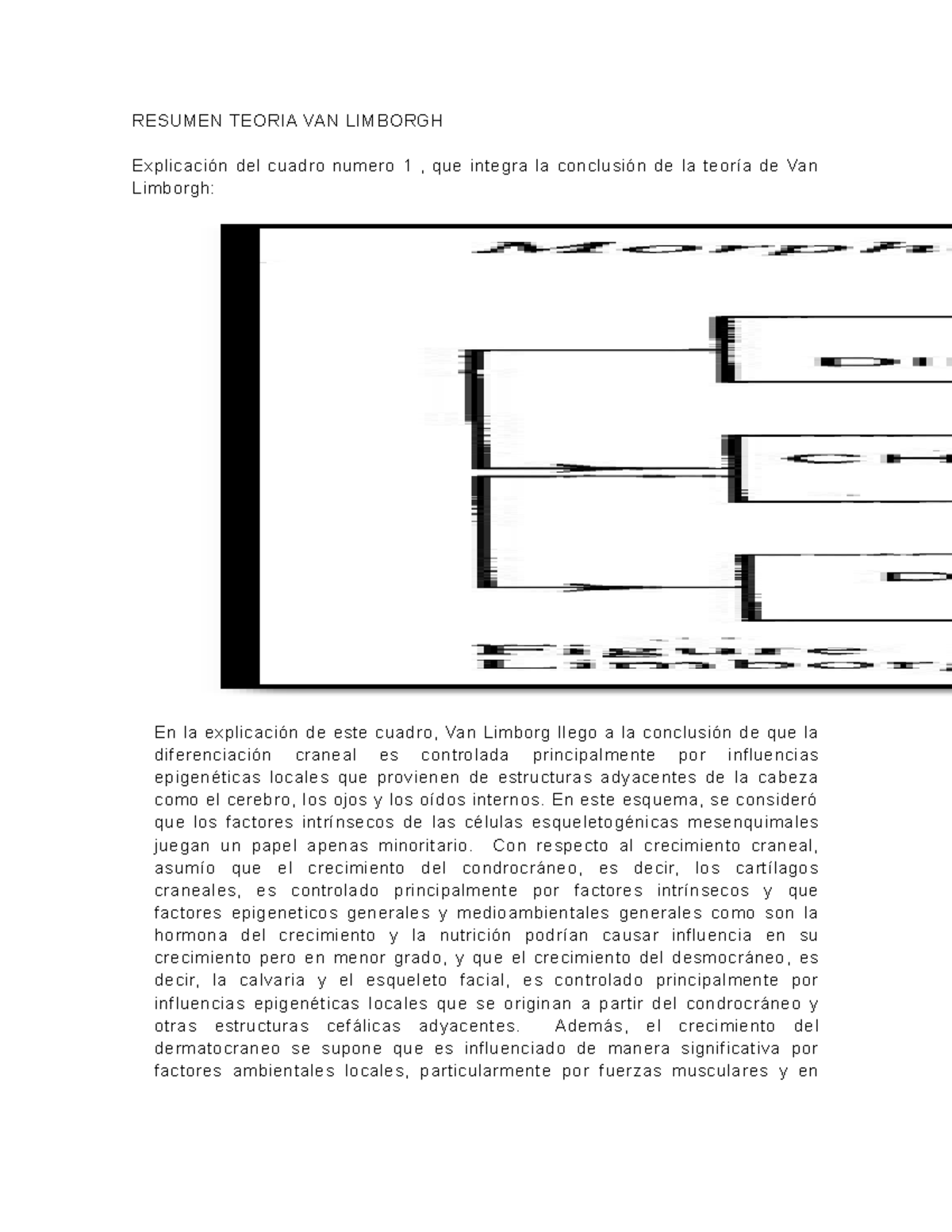 Resumen Teoria VAN Limborgh-1 - RESUMEN TEORIA VAN LIMBORGH del cuadro ...