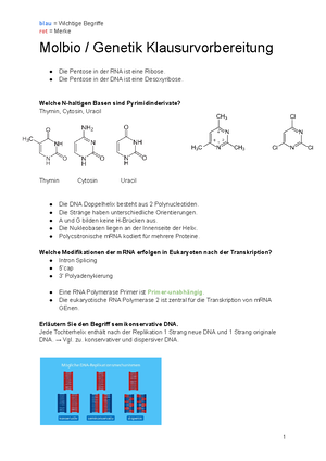 Zusammenfassung Molekularbiologie - Zusammenfassung Molekularbiologie Genexpression – Umsetzung ...