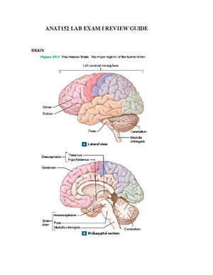 The Living Body documentary worksheet - Name: Starla Ries Date: 4/3 ...