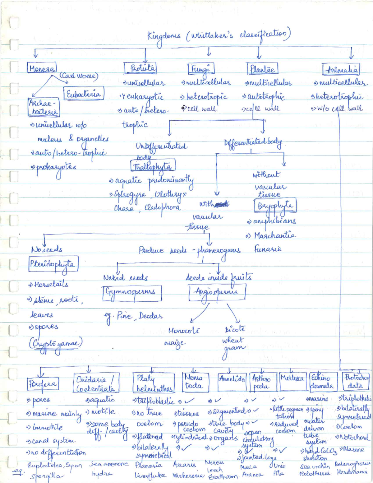 Zoology notes Cell Bio - b.sc. honours zoology - Studocu