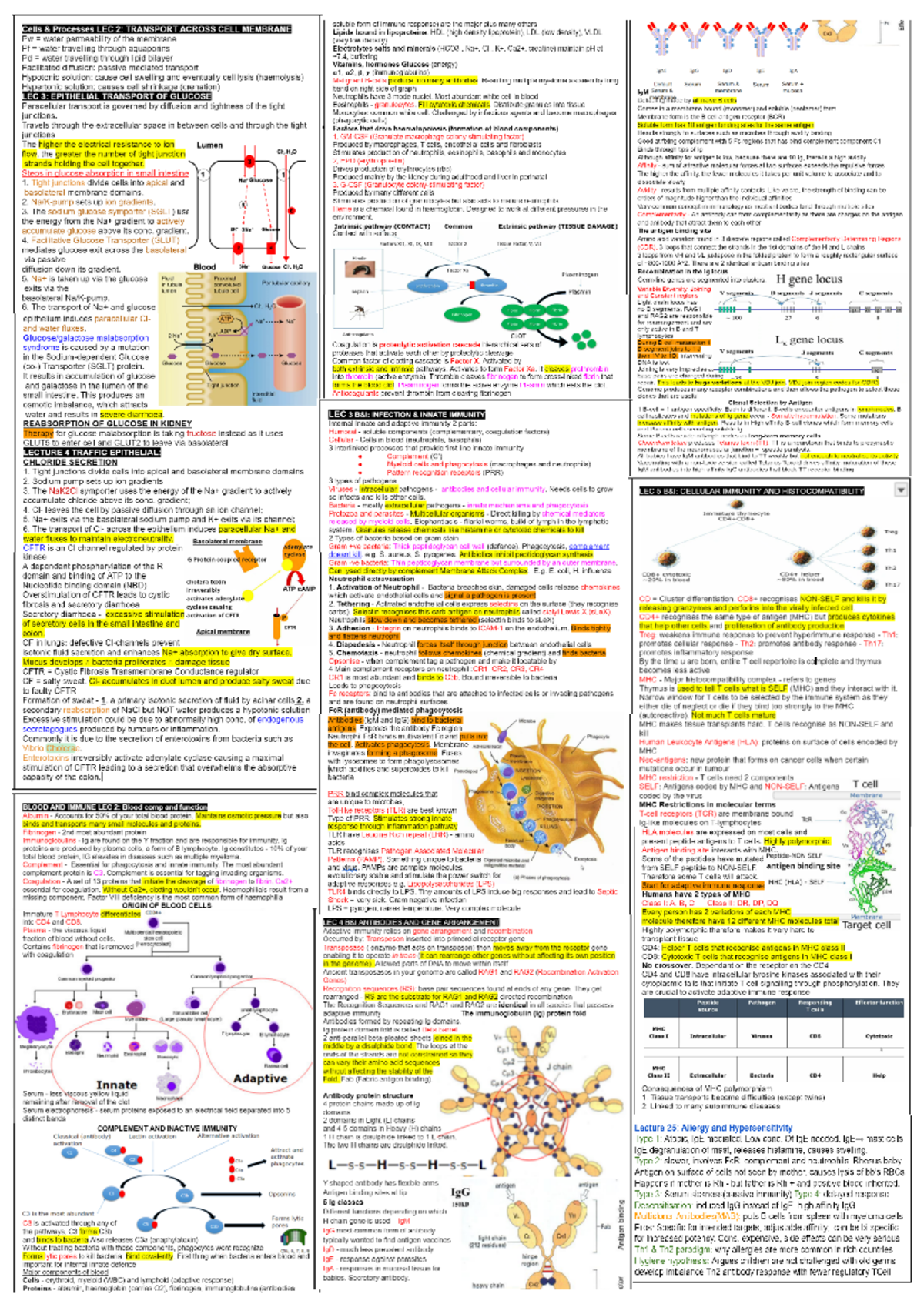 Biosci 107 Final cheat sheet - Cells Processes TRANSPORT ACROSS ...