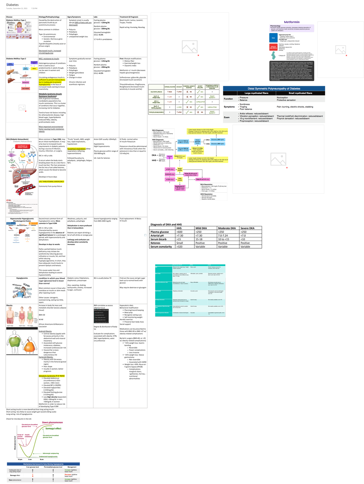 Diabetes - Disease Etiology/Pathophysiology Signs/Symptoms Labs ...