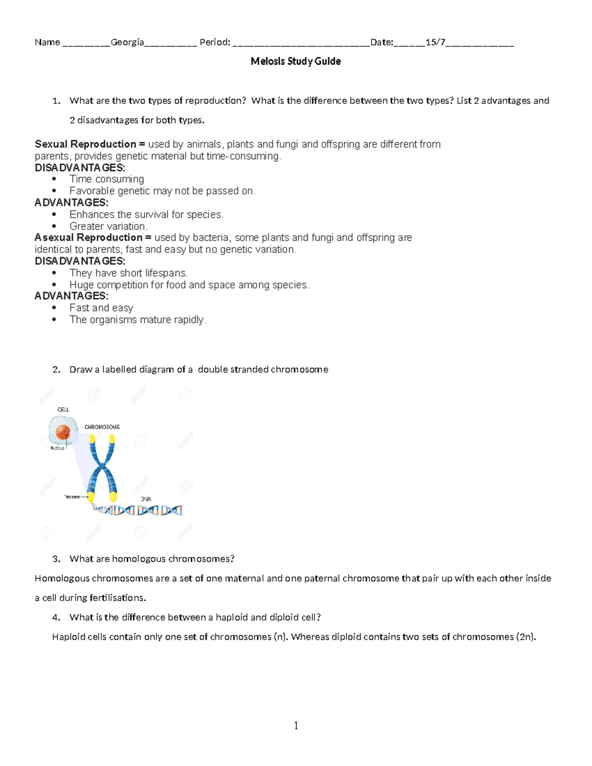 6.Meiosis Revision - bio - Name Georgia_ Period ...