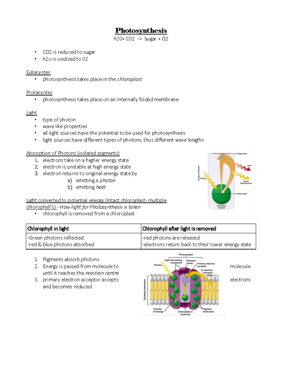 Midterm 2 - Photosynthesis h20+ C02 -> Sugar + O CO2 is reduced to ...