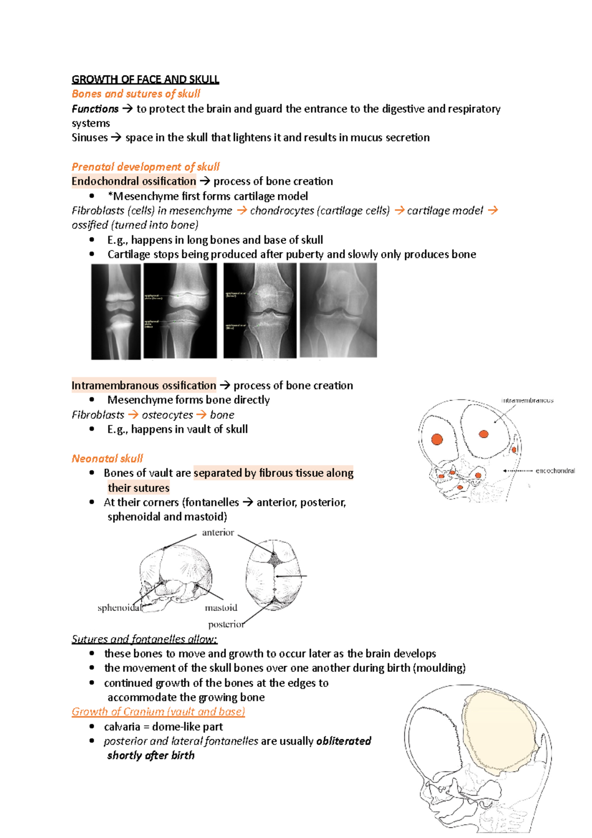 Growth of face and skull notes - GROWTH OF FACE AND SKULL Bones and ...