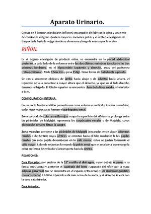 Indice de torg pavlov 10 - UNIVERSIDAD NACIONAL DE LA RIOJA Índice de ...