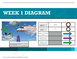 Fundamentals of physical science - Speed, Velocity, & Acceleration ...