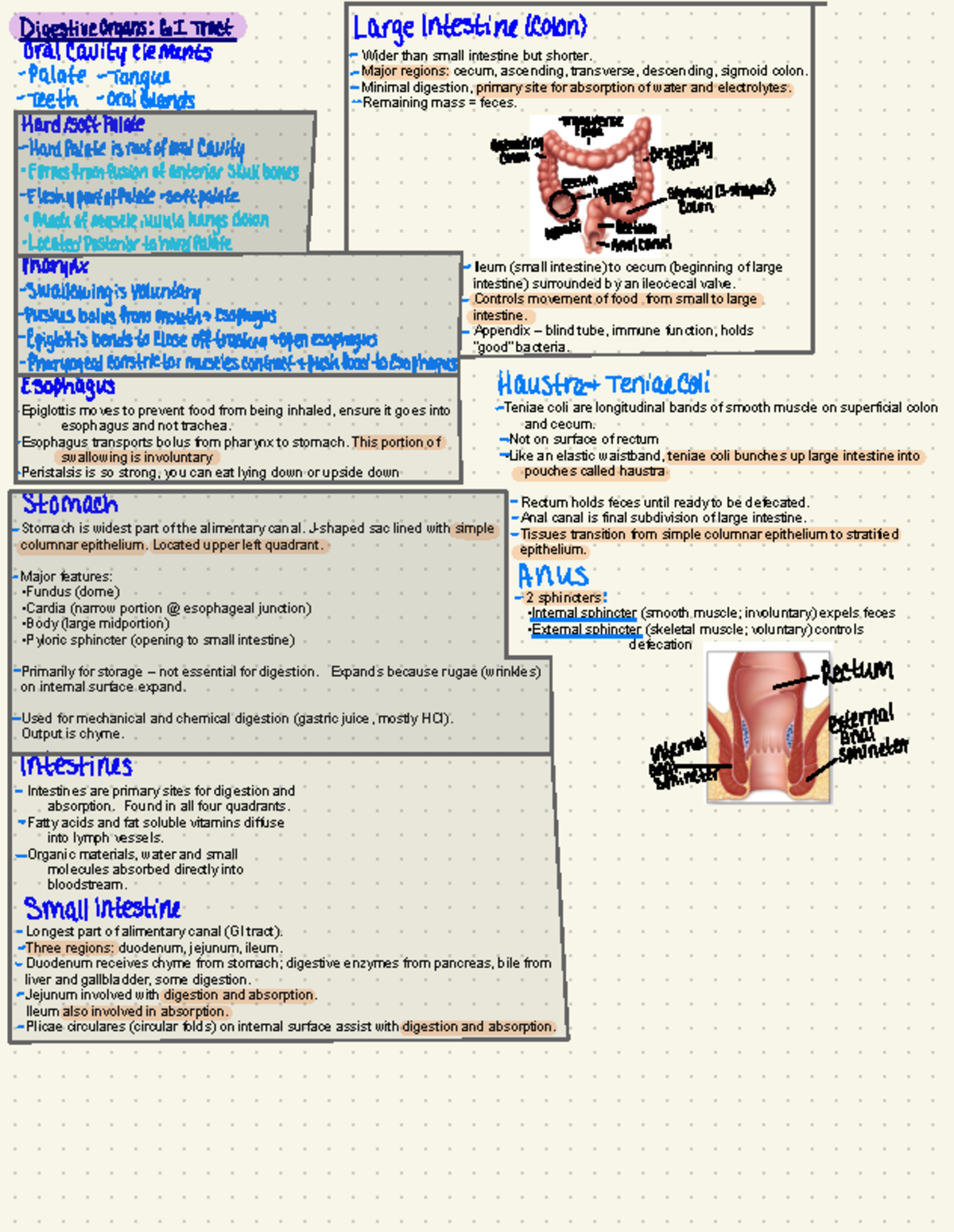 Mini Lectures 9 - Lecture notes over medical imaging, the different ...