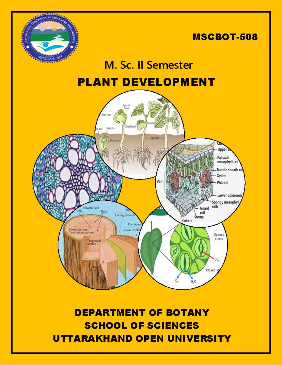 Mscbot-508 - MSc botany - MSCBOT- 508 M. Sc. II Semester PLANT ...