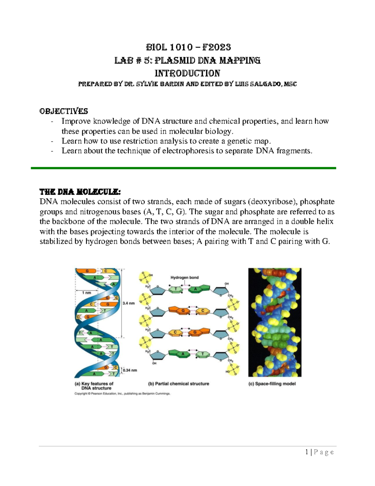 Lab 5 - Introduction and Protocol - F2023 - Biol 1010 – F 2023 LAB # 5 : Plasmid DNA mapping ...