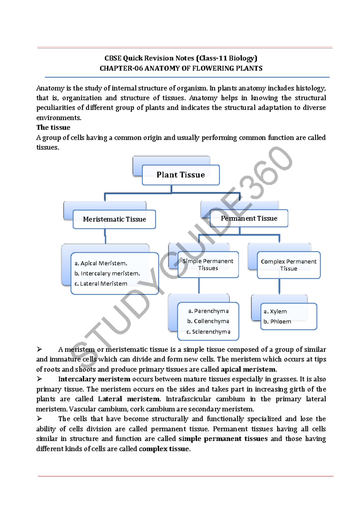 11 biology notes ch06 anatomy of flowering plants unlocked - CBSE Quick ...
