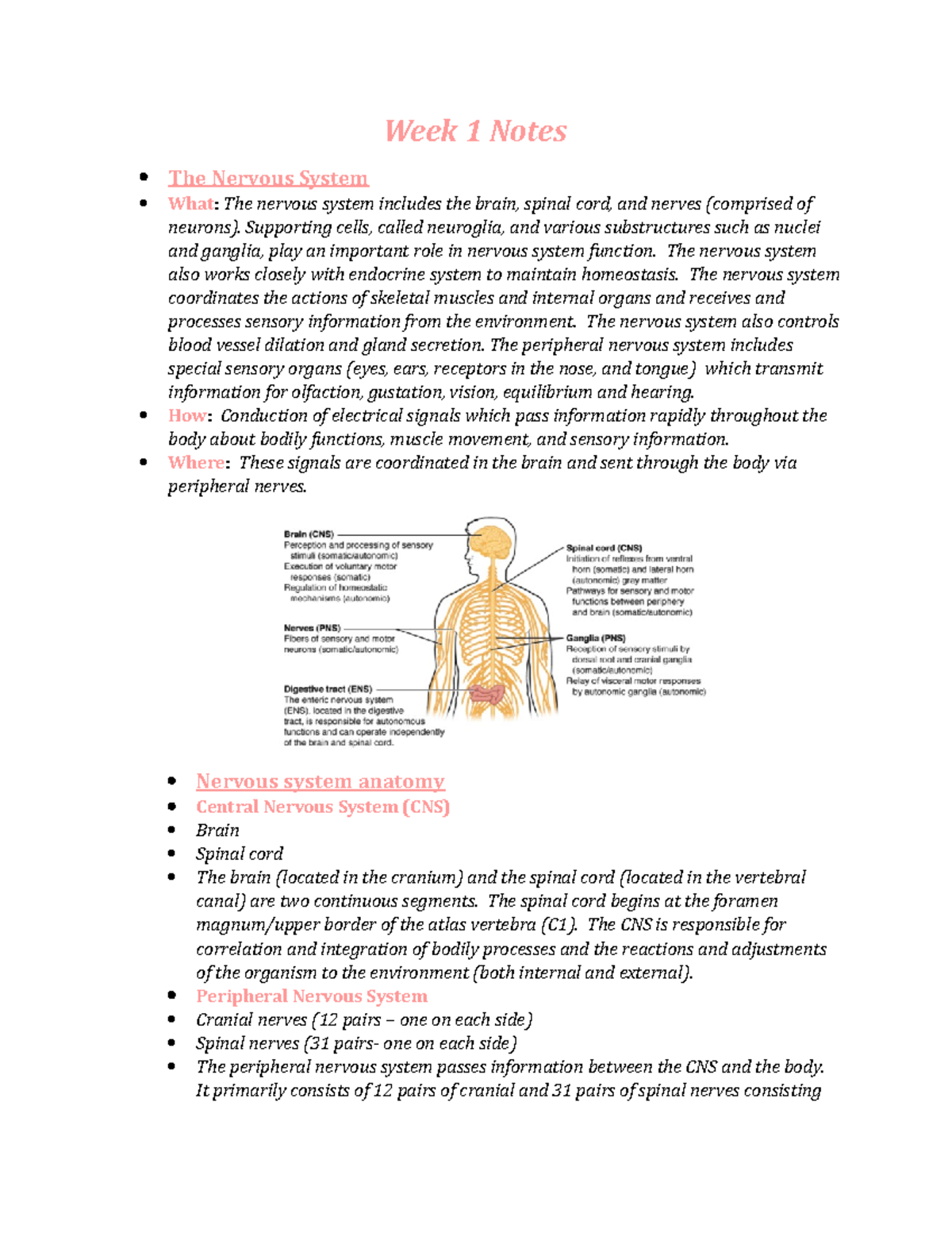 The Nervous System Lab 1 Notes - Week 1 Notes The Nervous System What ...