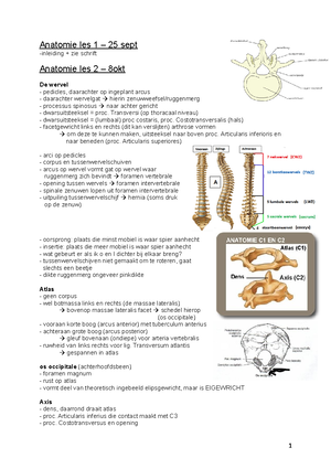 Functionele anatomie voorbeelden - Functionele anatomie: voorbeeld vragen Functionele ...