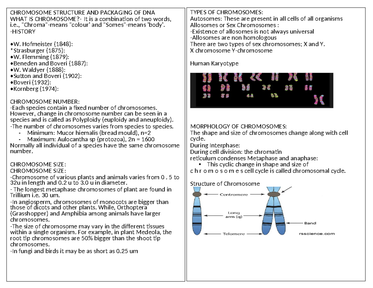 Cyto - cytogenetics introduction reviewer - CHROMOSOME STRUCTURE AND ...