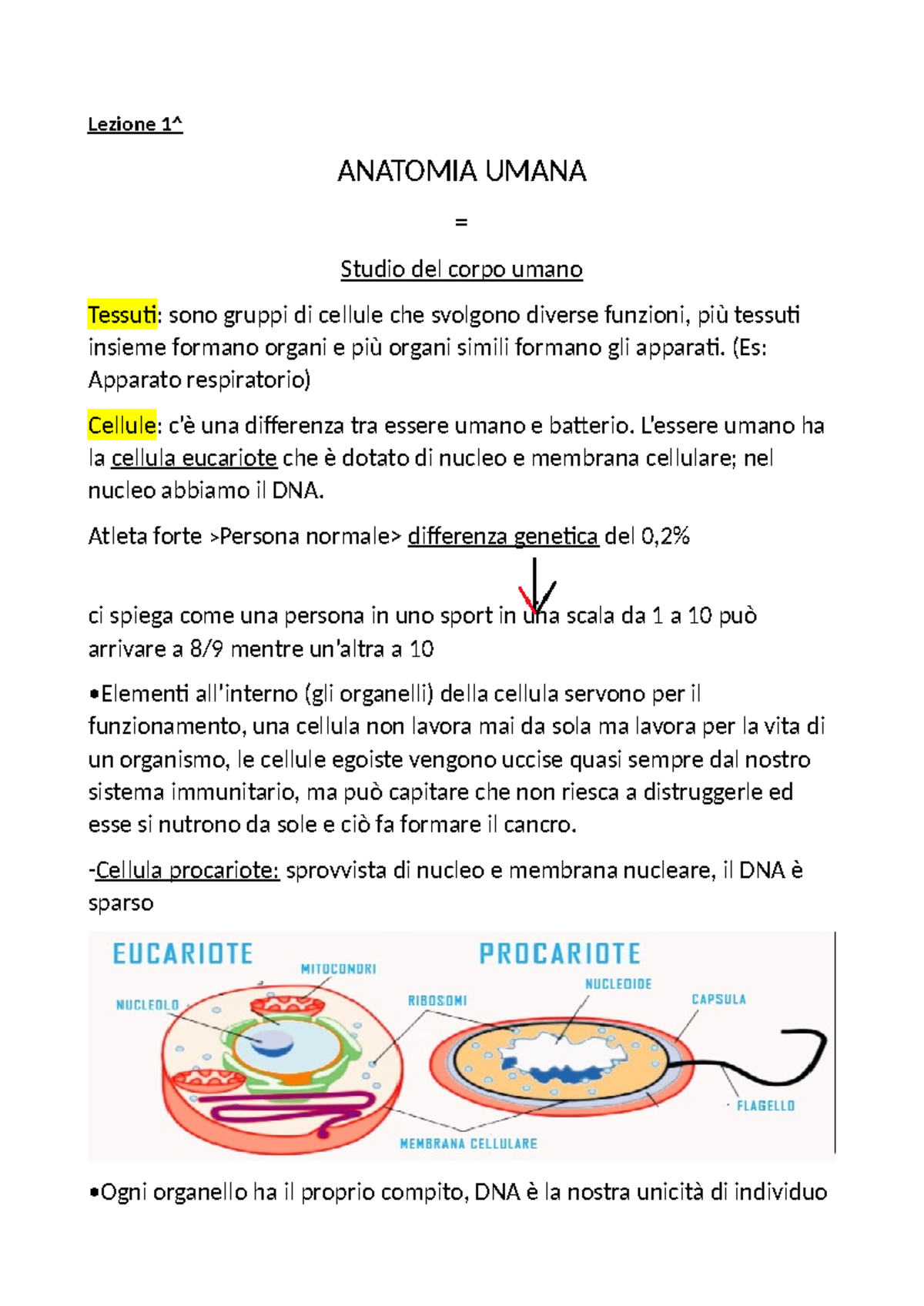 Anatomia - Lezione 1^ ANATOMIA UMANA = Studio del corpo umano Tessuti ...