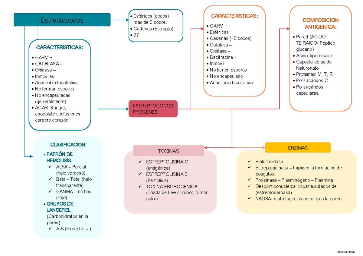 Resumen De Microbiologa Estreptococos Del Grupo Viridans