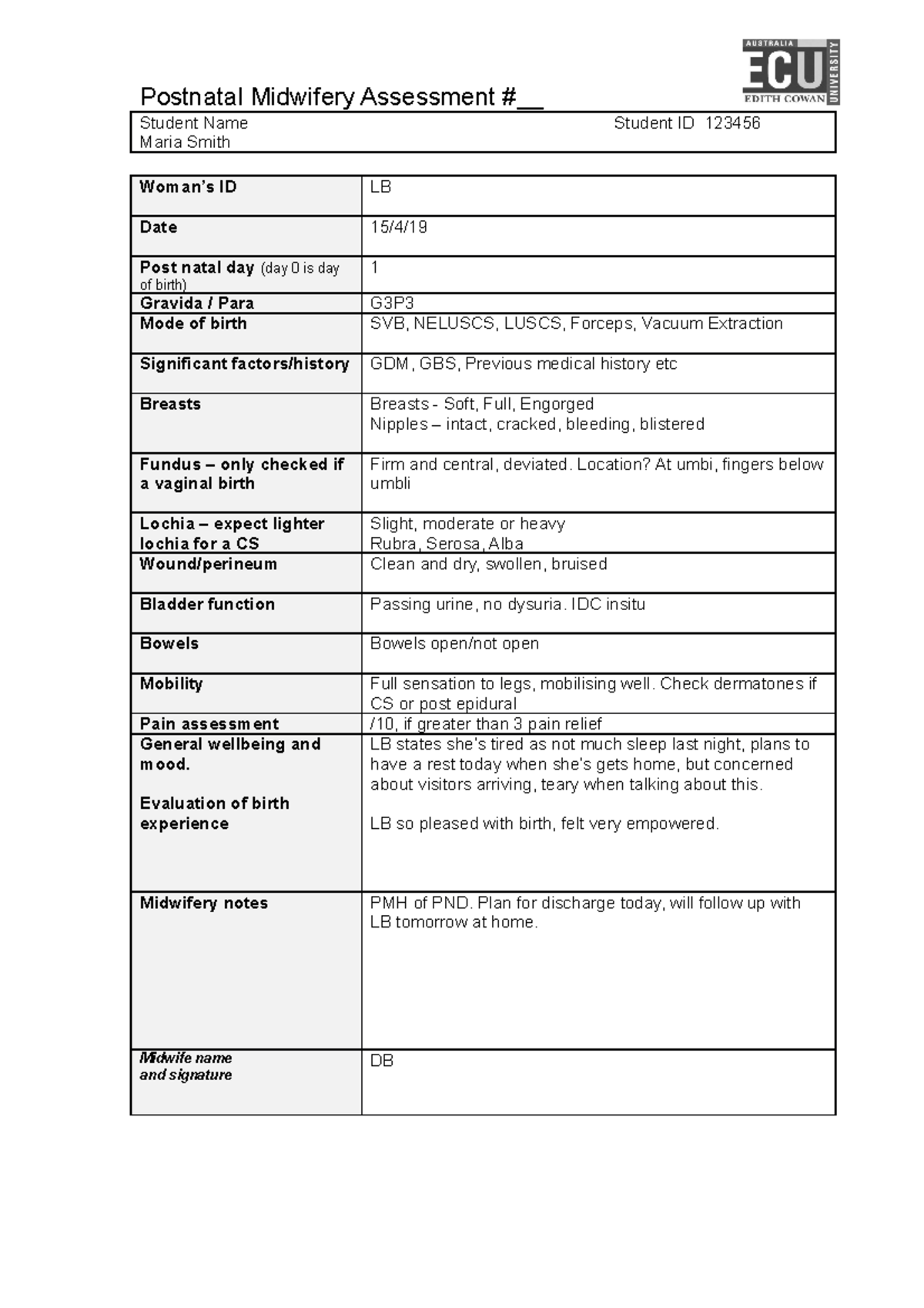 Postnatal assessment exemplar form - Postnatal Midwifery Assessment ...