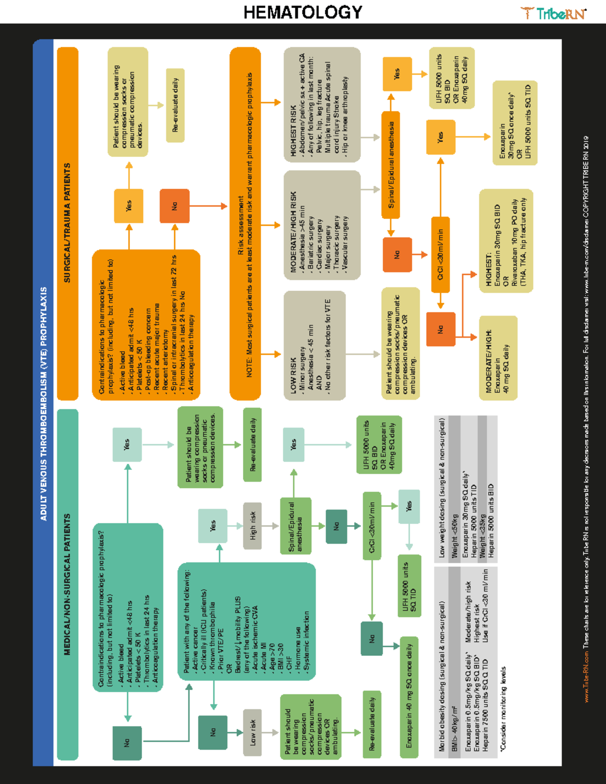 Hematology 2 must know for fundamentals and pharmacology - HEMATOLOGY ...