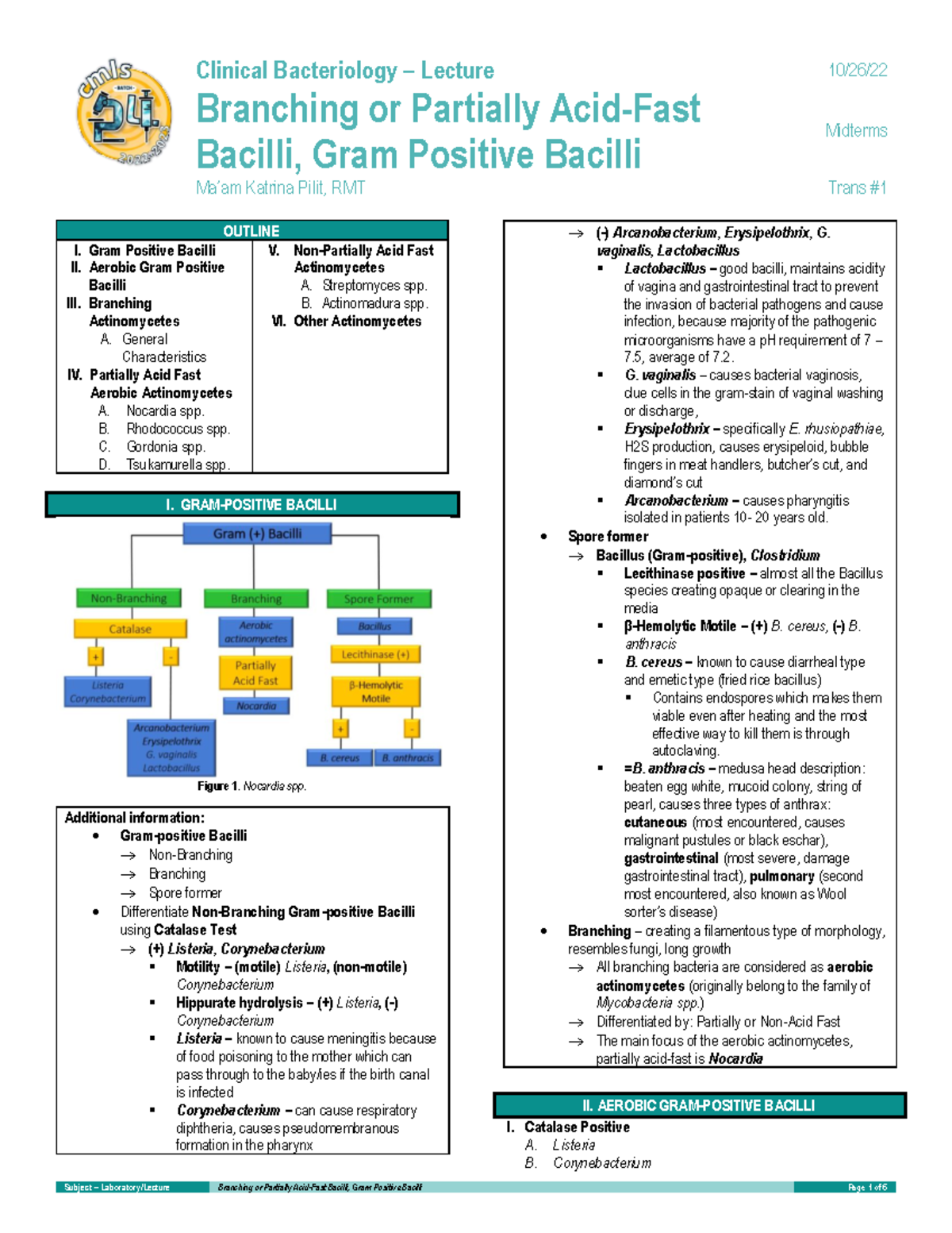 1. Branching or Partially Acid-Fast Bacilli, Gram Positive Bacilli - BS ...