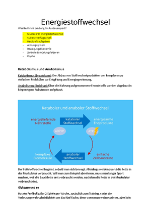 Physiologie Blut, Innere Organe - Physiologie Blut, innere Organe ...