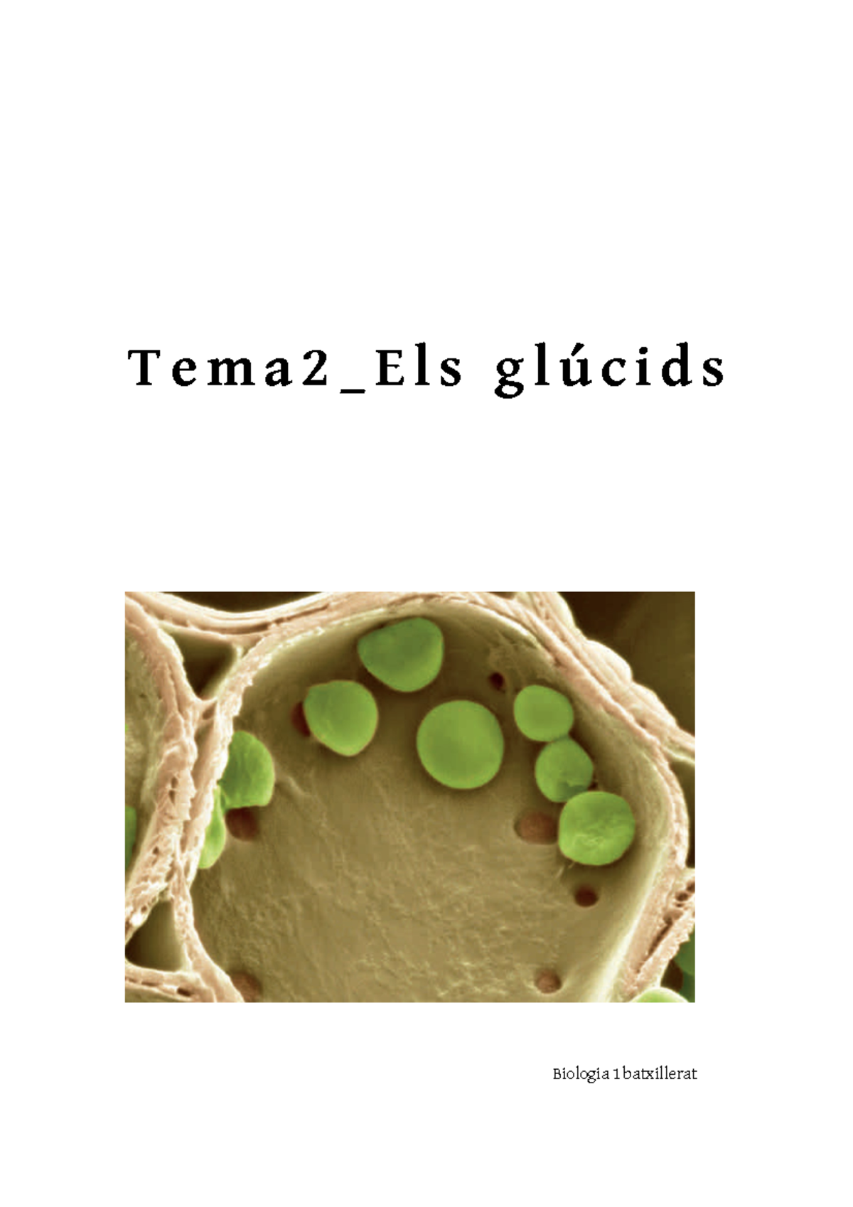 Teoria - Glúcids - Resum sobre glucids. - T e m a 2 _ E l s g l ú c i d s Biologia 1 batxillerat ...