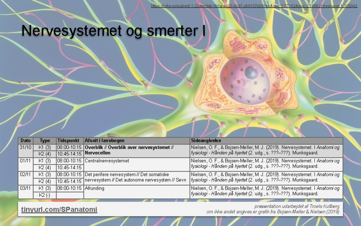 2.01 Nervesystemet I-IV - Nervesystemet og smerter I præsentation ...